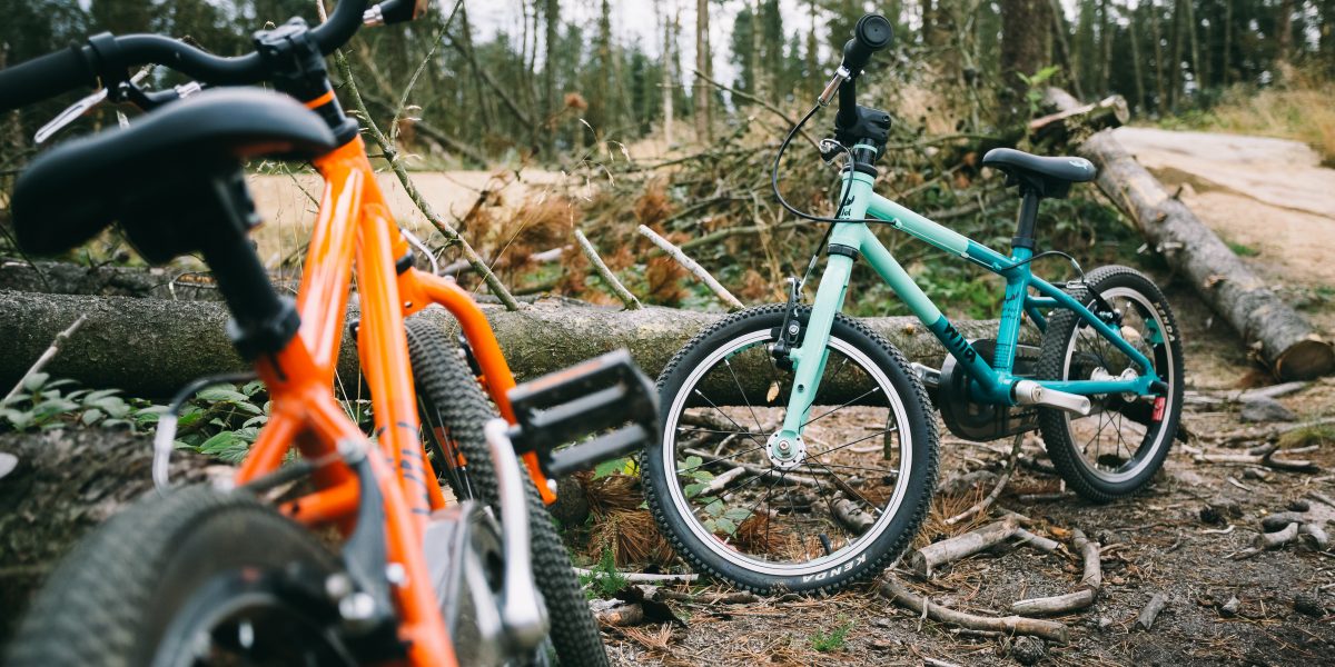 Wild Bikes