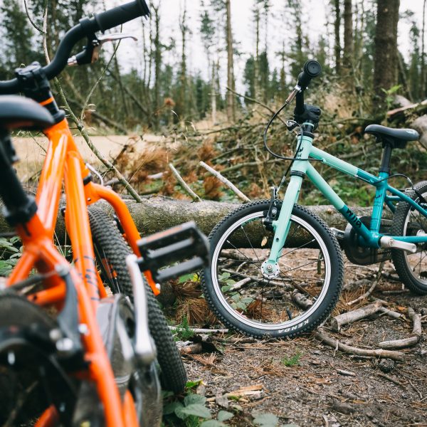 Wild Bikes