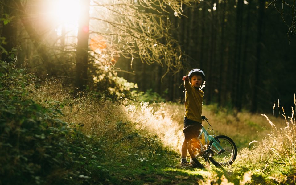 FAQ | Wild Bikes